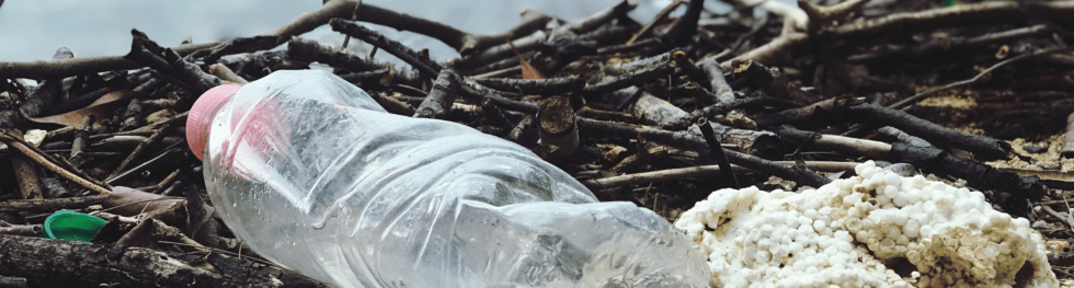 Harmful Effects of Plastic - Recyclops